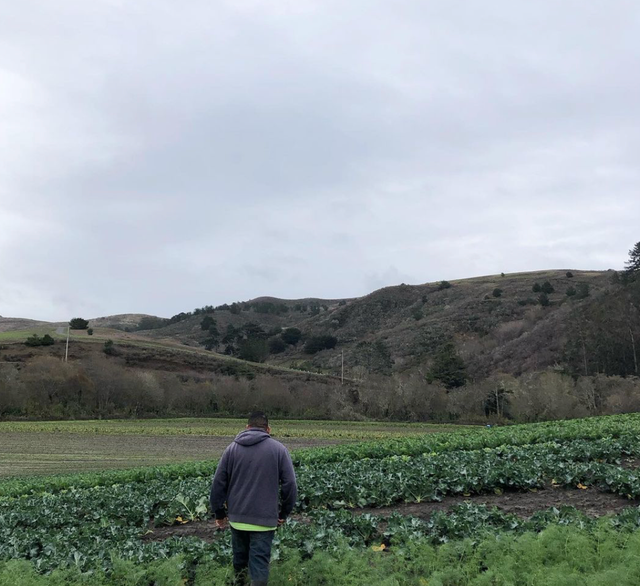 Permanent | Local, Sustainable Food Sourcing